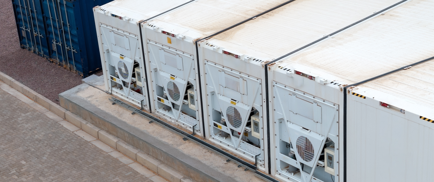 Non-Operating Reefer Containers (NOR) vs Dry Containers