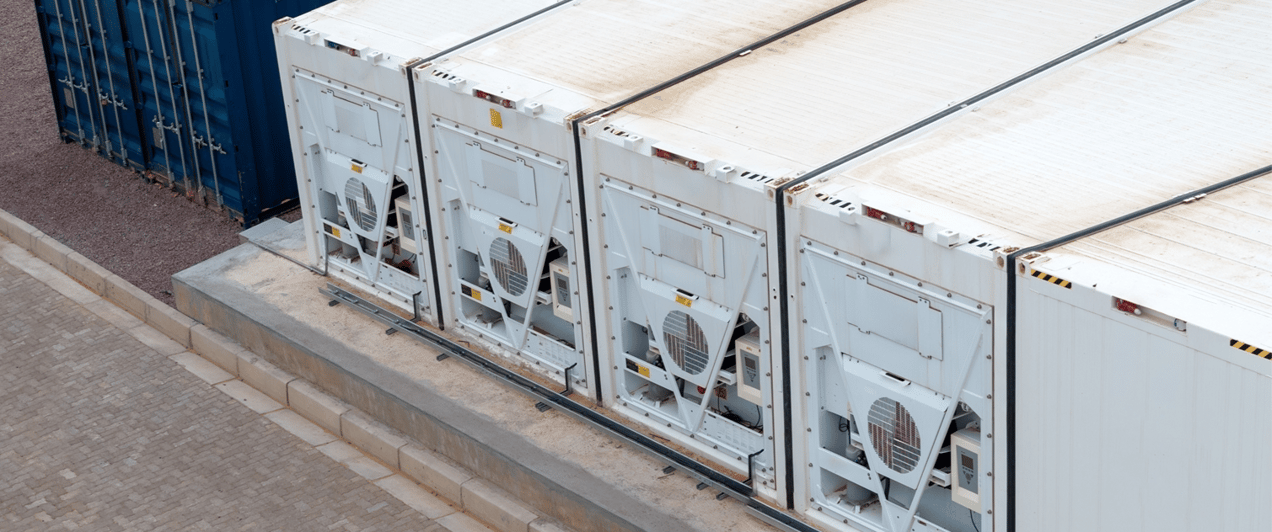 Non-Operating Reefer Containers (NOR) vs Dry Containers