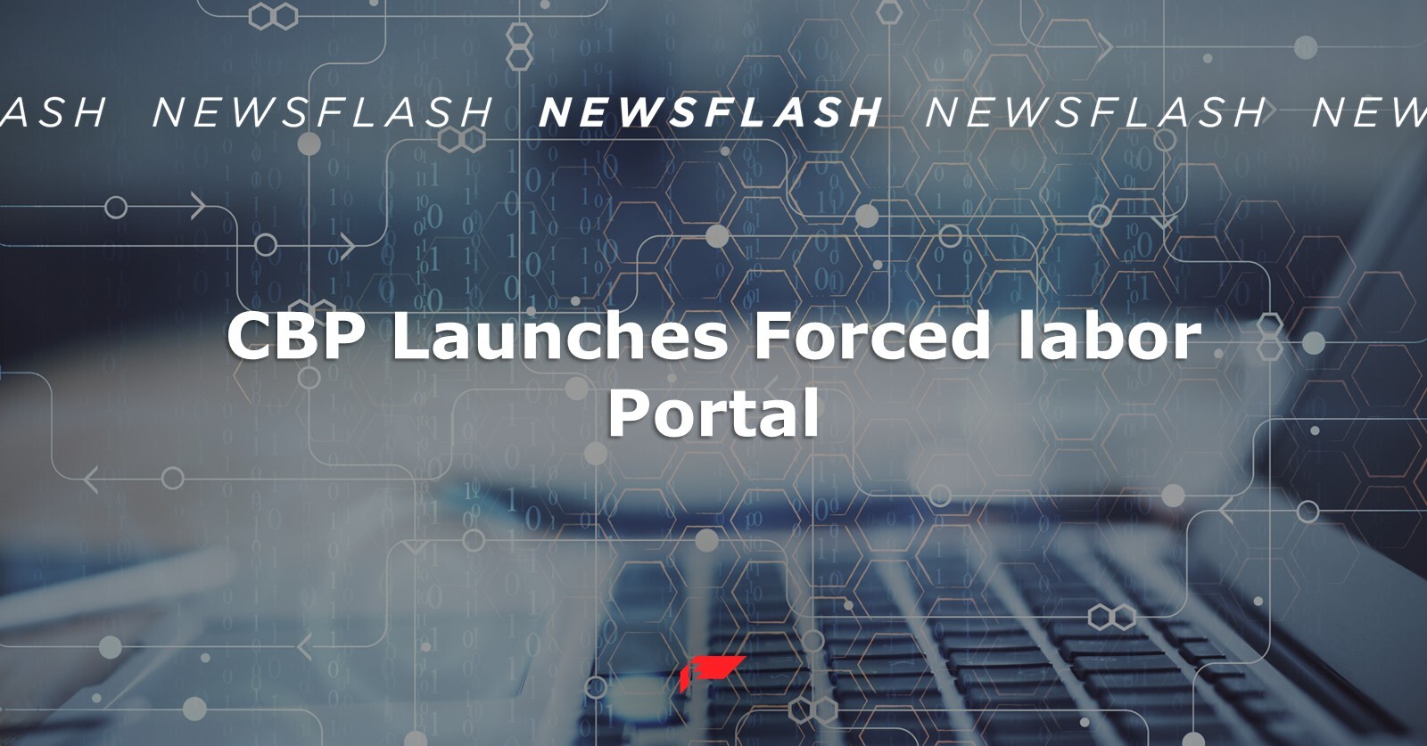 CBP Launches Forced labor Portal