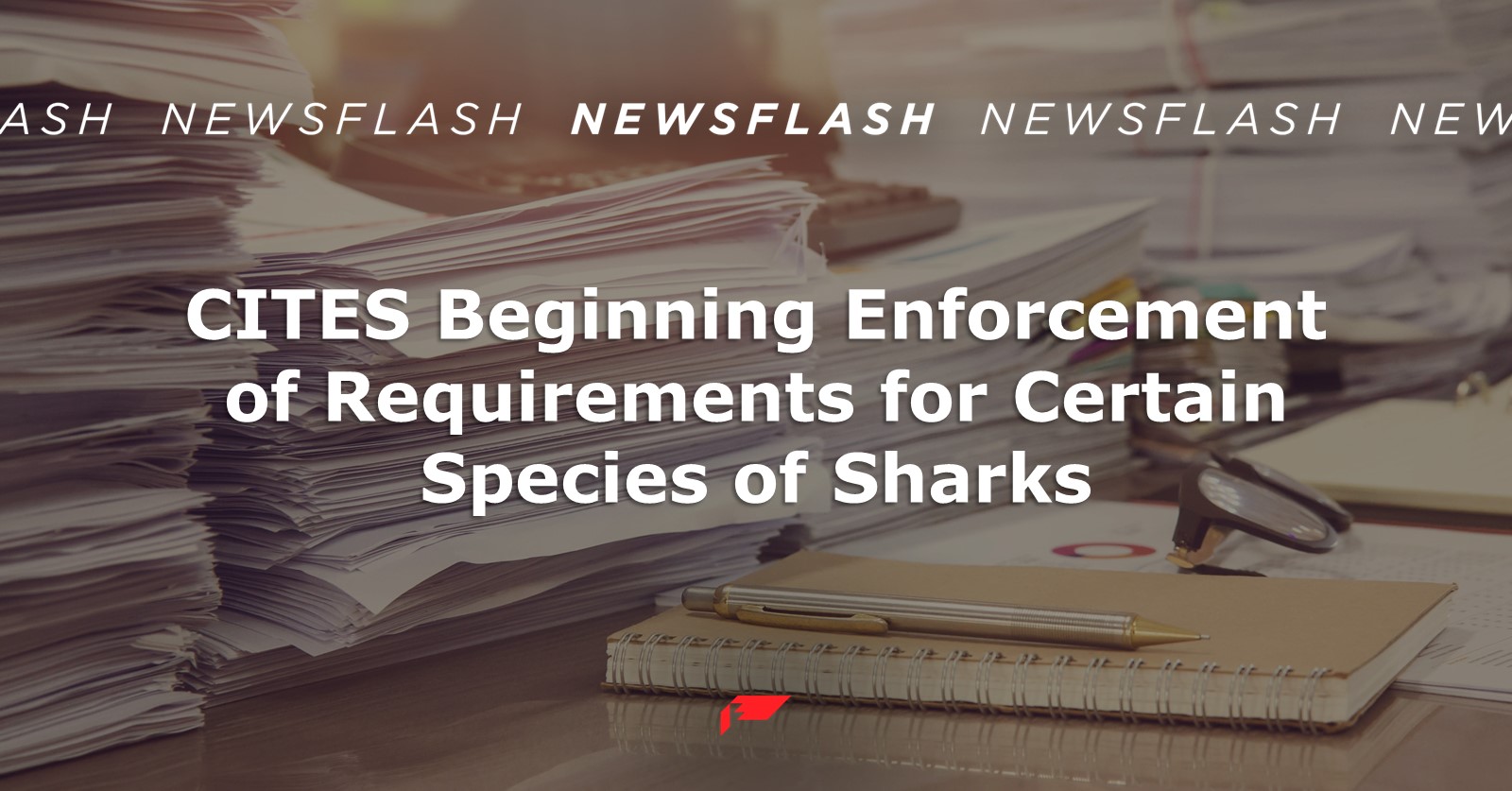 CITES Beginning Enforcement of Requirements for Certain Species of Sharks