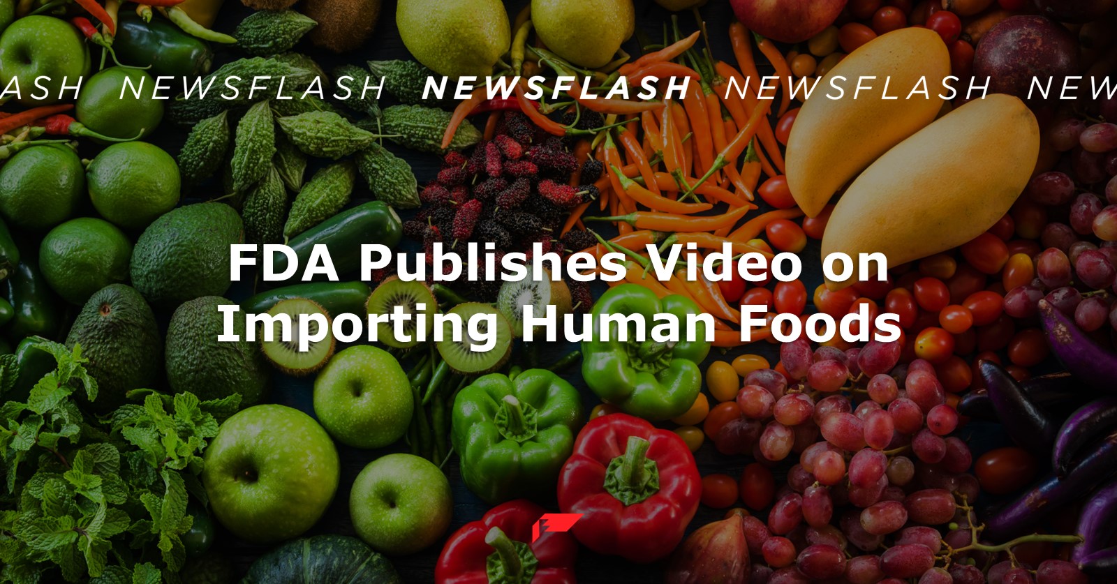 FDA Publishes Video on Importing Human Foods